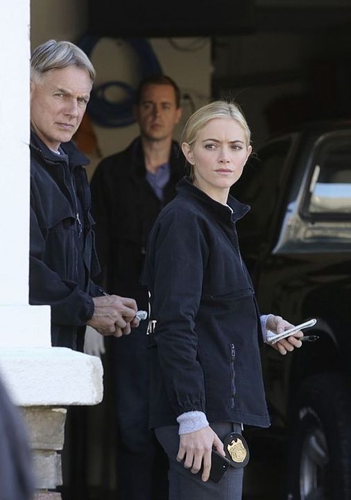 ‘NCIS’ Alum Emily Wickersham Shows Off Her Love for ‘Summer’ in Eye ...